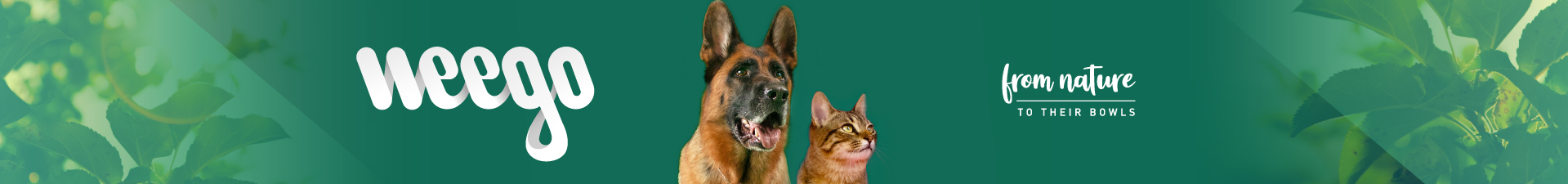 Weego para Cão | ZU.pt